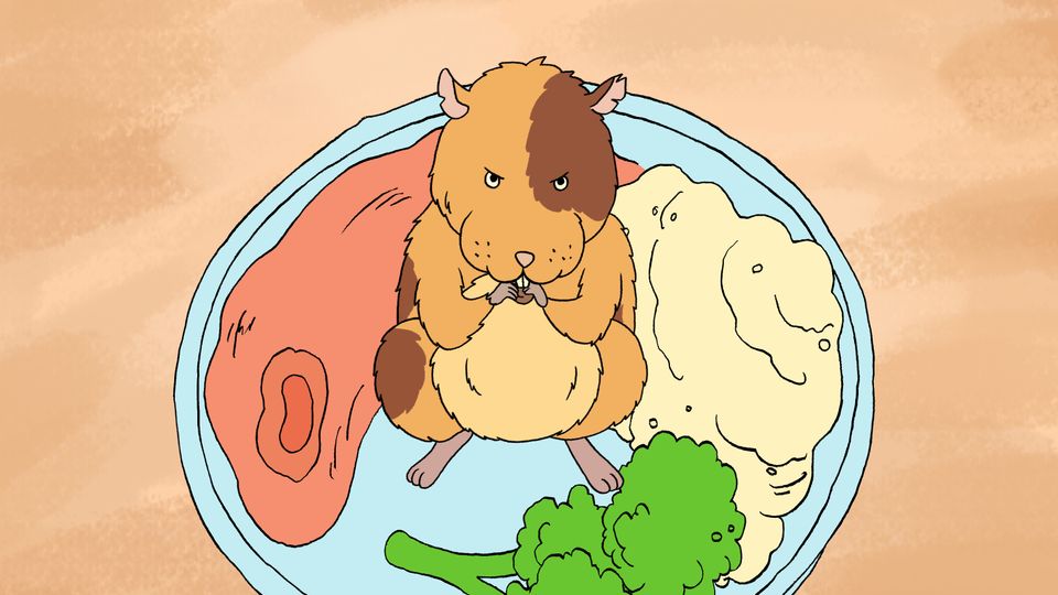 Horrid Henry's Horrid Hamster | Kartoon Channel